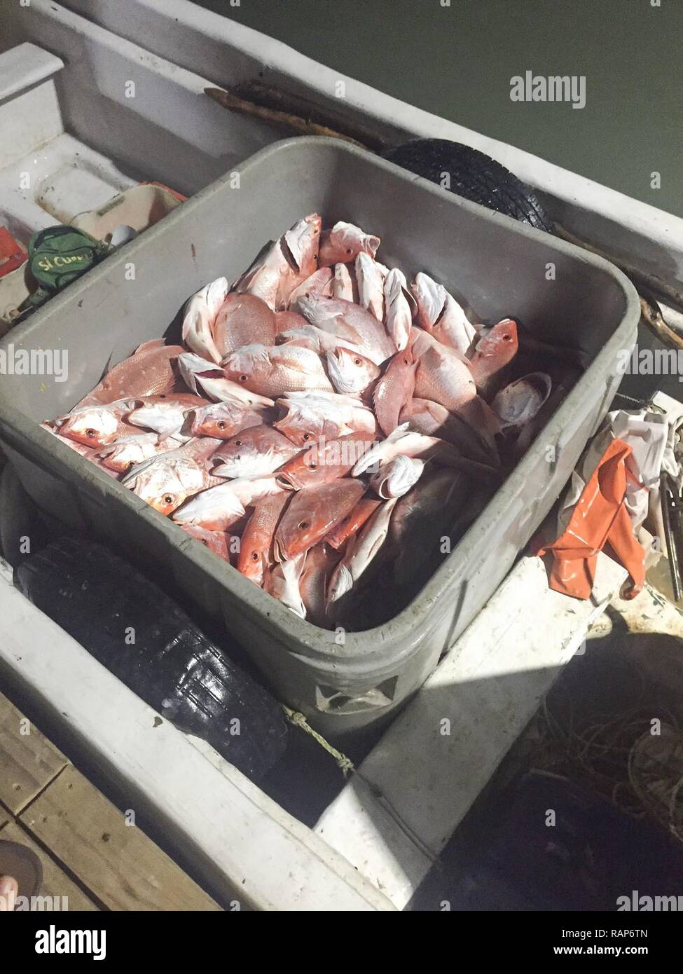 A lancha, or Mexican fishing boat, was seized along with 300 red ...