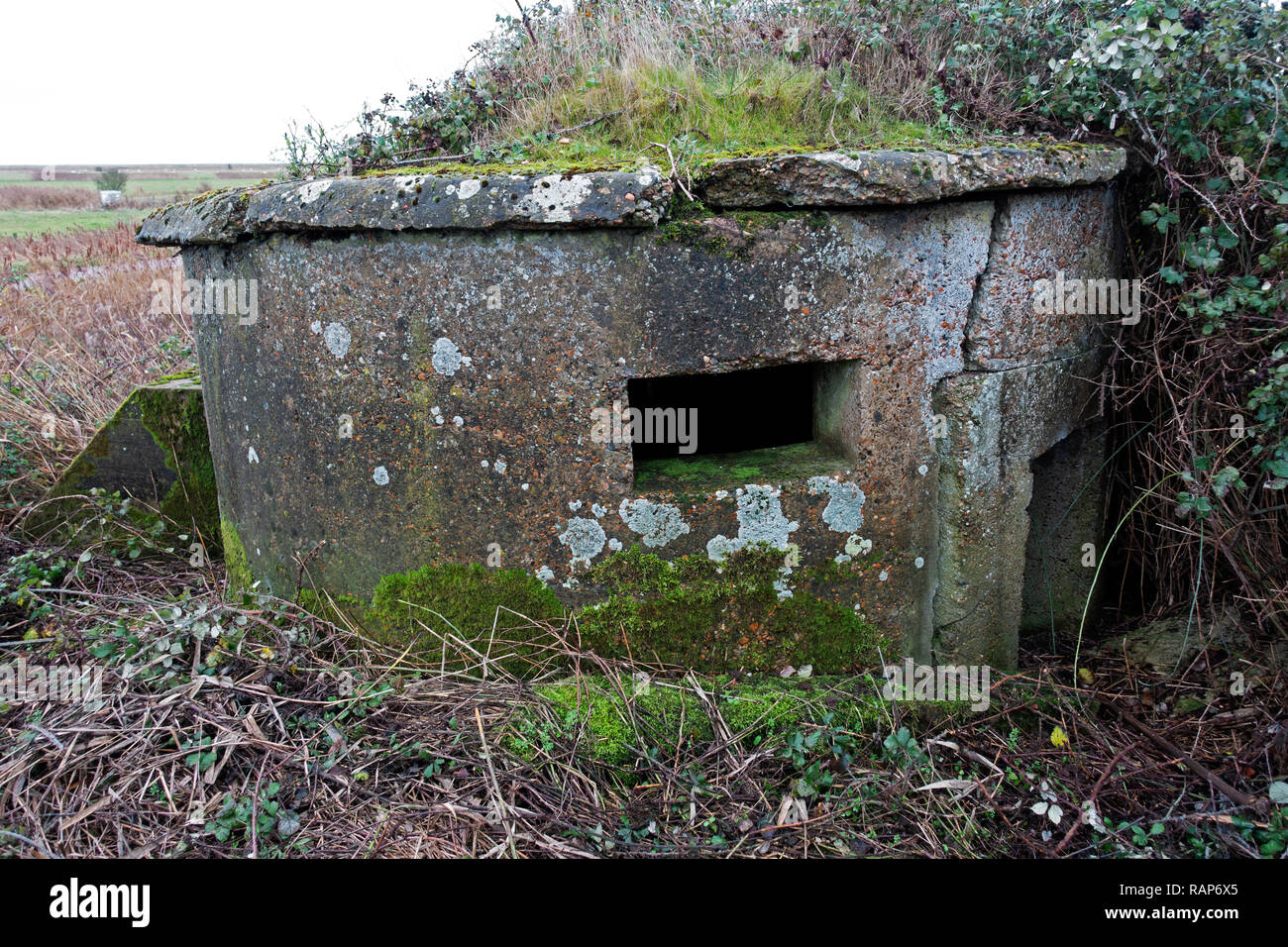 World War One pillbox, Shingle Street, Suffolk, UK Stock Photo - Alamy