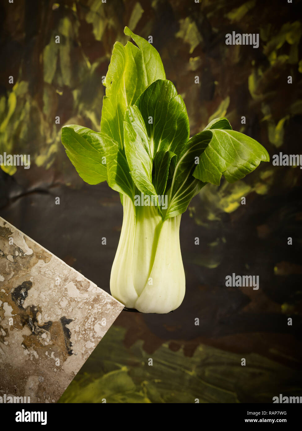 Leafy Pok Choy vegetable still-life photograph Stock Photo - Alamy