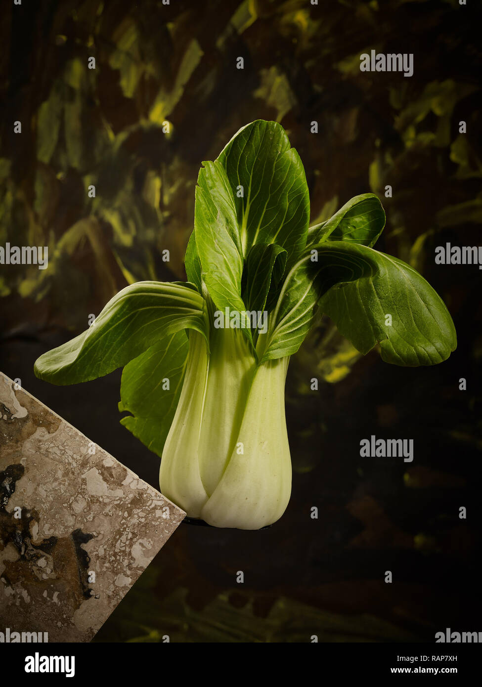 Pok Choy vegetable portrait against dark background Stock Photo - Alamy