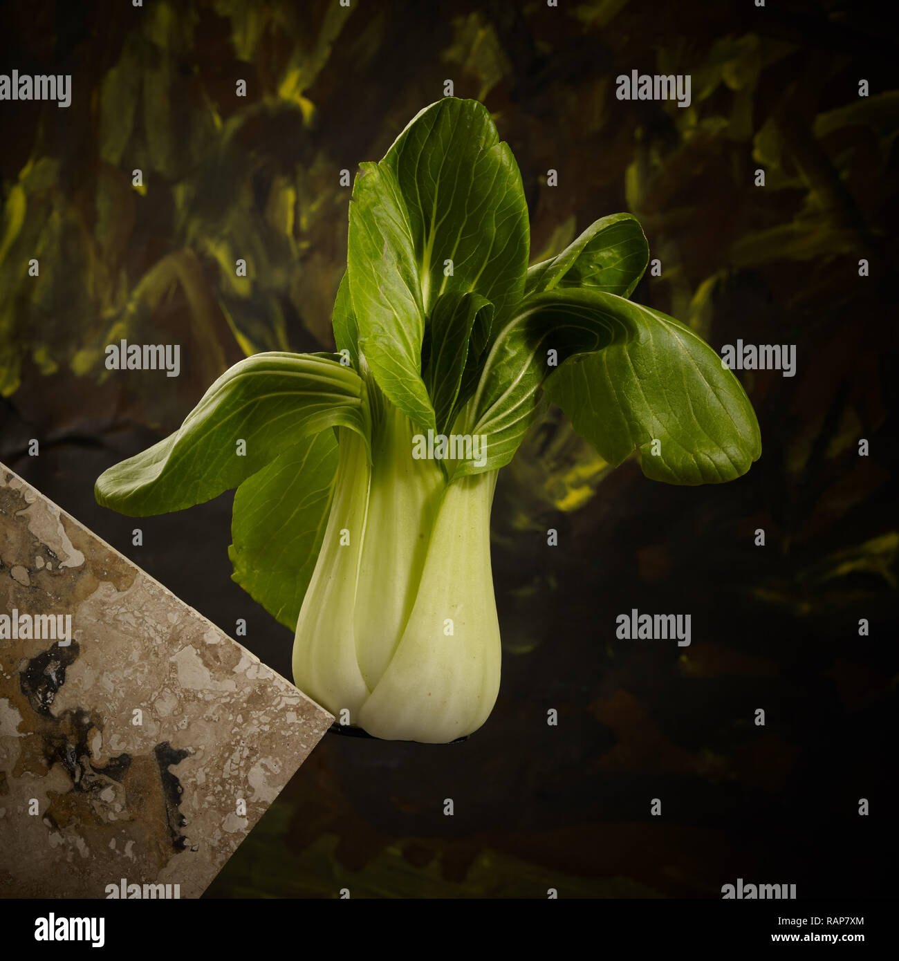 Pok Choy vegetable portrait against dark background Stock Photo - Alamy