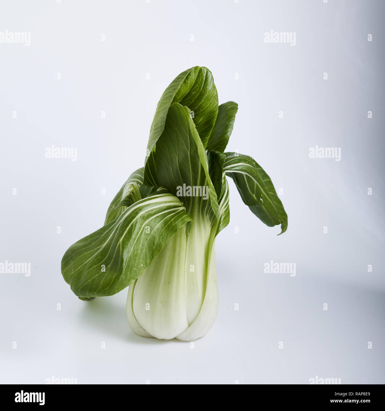 Bok Choy vegetable on white background, food photograph Stock Photo - Alamy