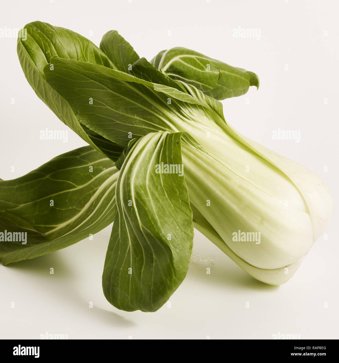 Bok Choy vegetable on white background, food photograph Stock Photo - Alamy