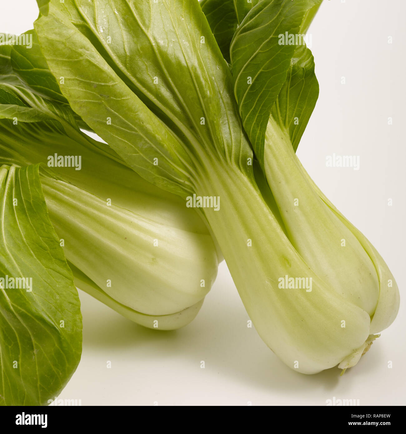 Bok Choy vegetable on white background, food photograph Stock Photo - Alamy