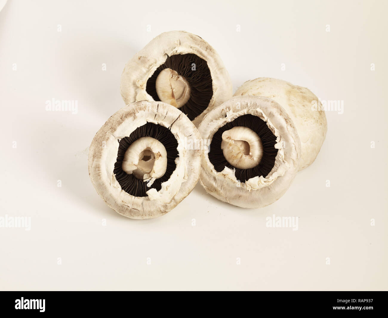Edible mushroom vegetable, food still-life Stock Photo - Alamy