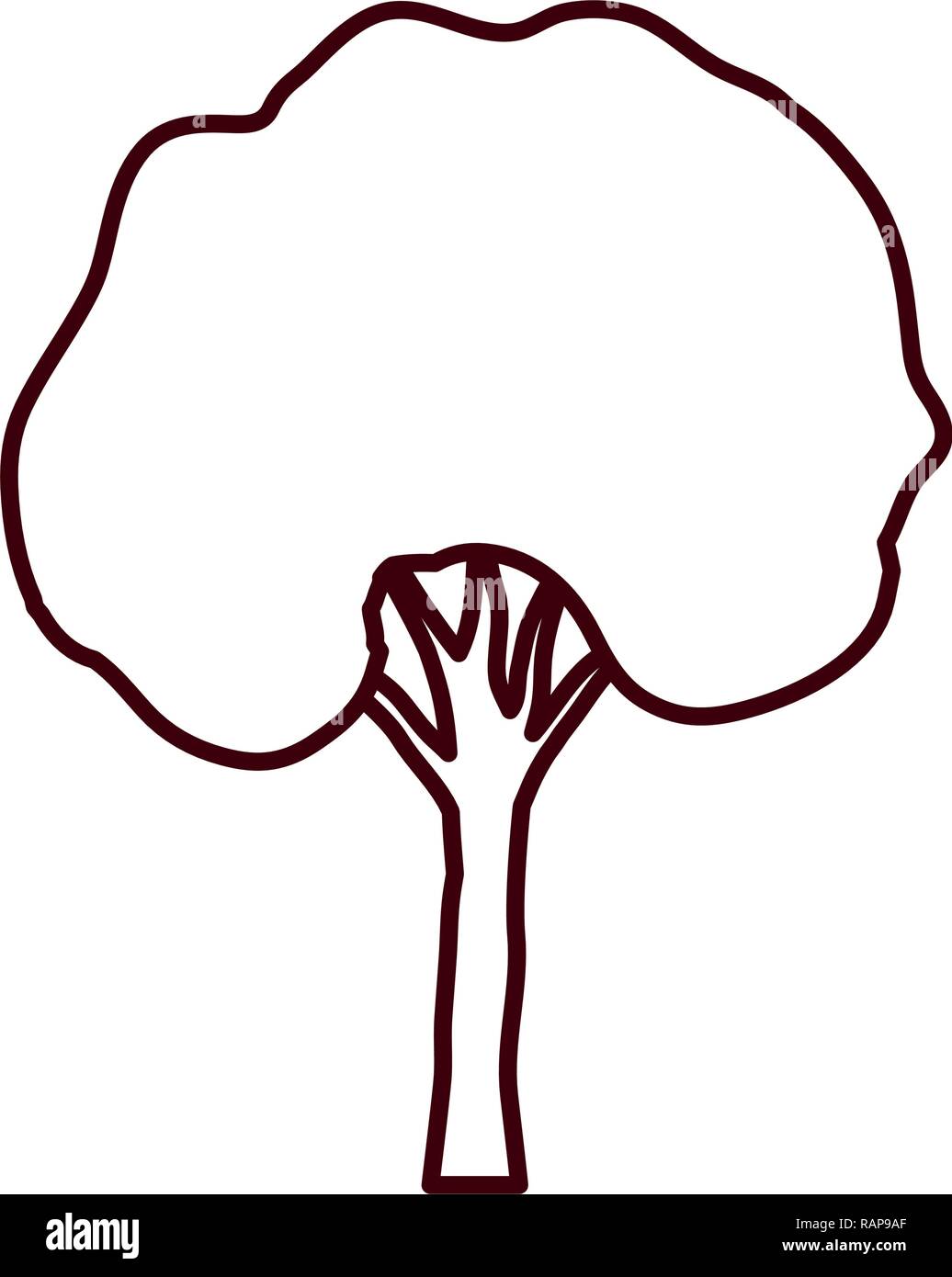 tall tree isolated icon Stock Vector Image & Art - Alamy