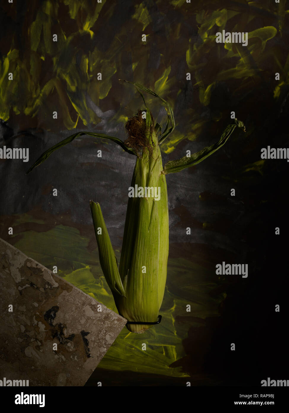 Sweetcorn animal feed hi-res stock photography and images - Alamy