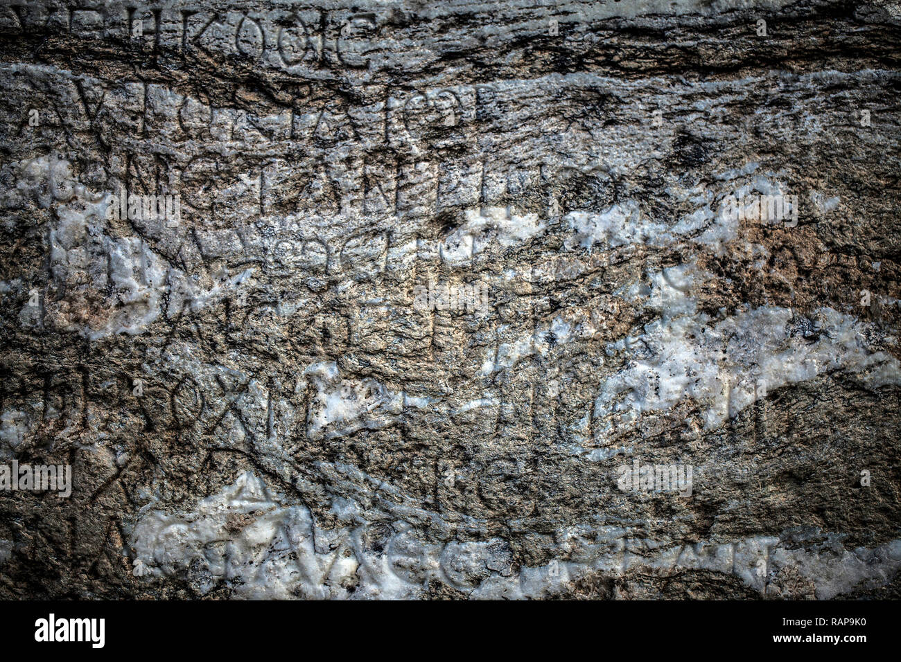 Historical Symbols Signs Alphabets of Ancient Egypt Period Stock Photo ...