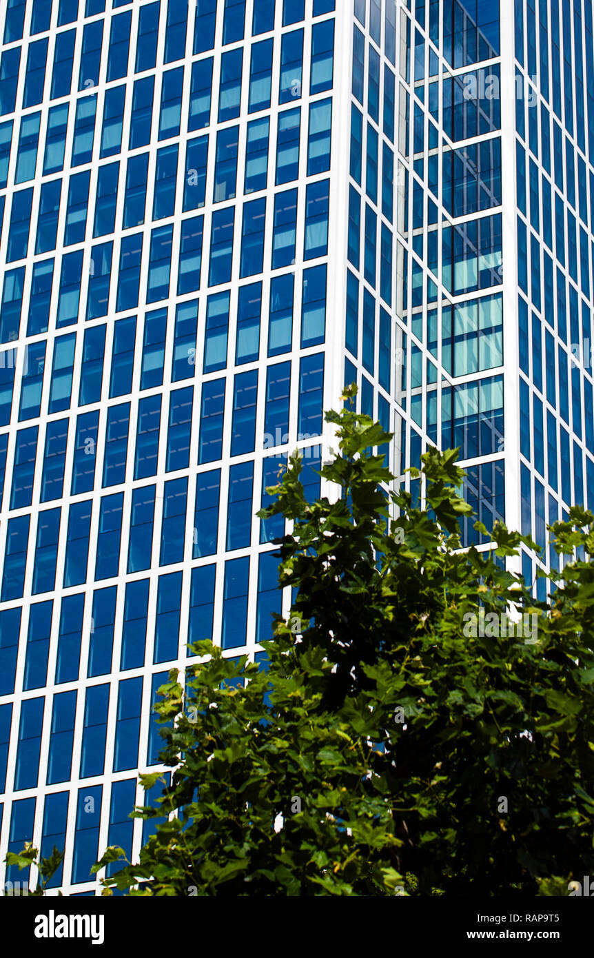 Huge Business Glass Architecture Tower Building Photo Stock Photo - Alamy