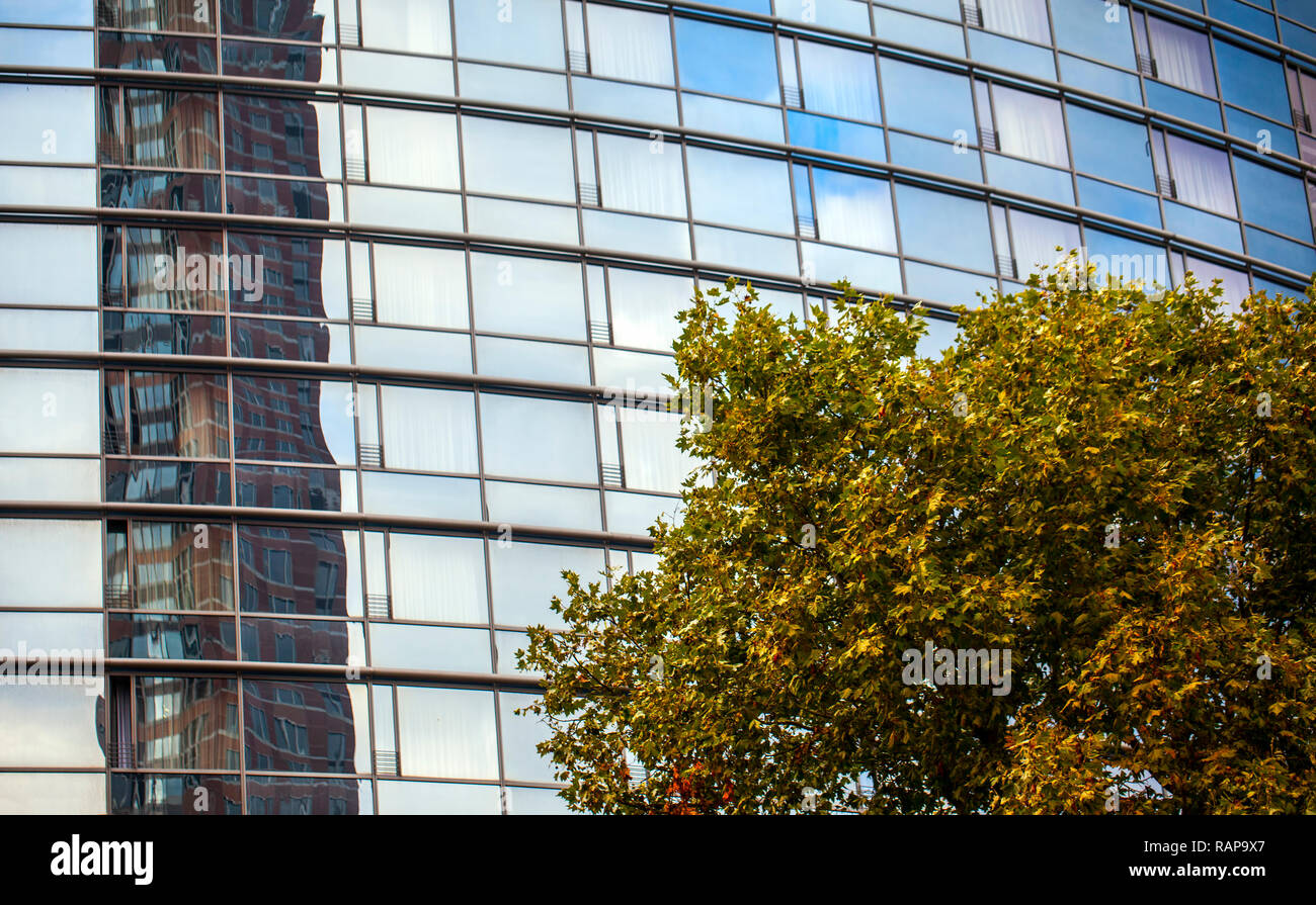 Huge Business Glass Architecture Tower Building Photo Stock Photo - Alamy