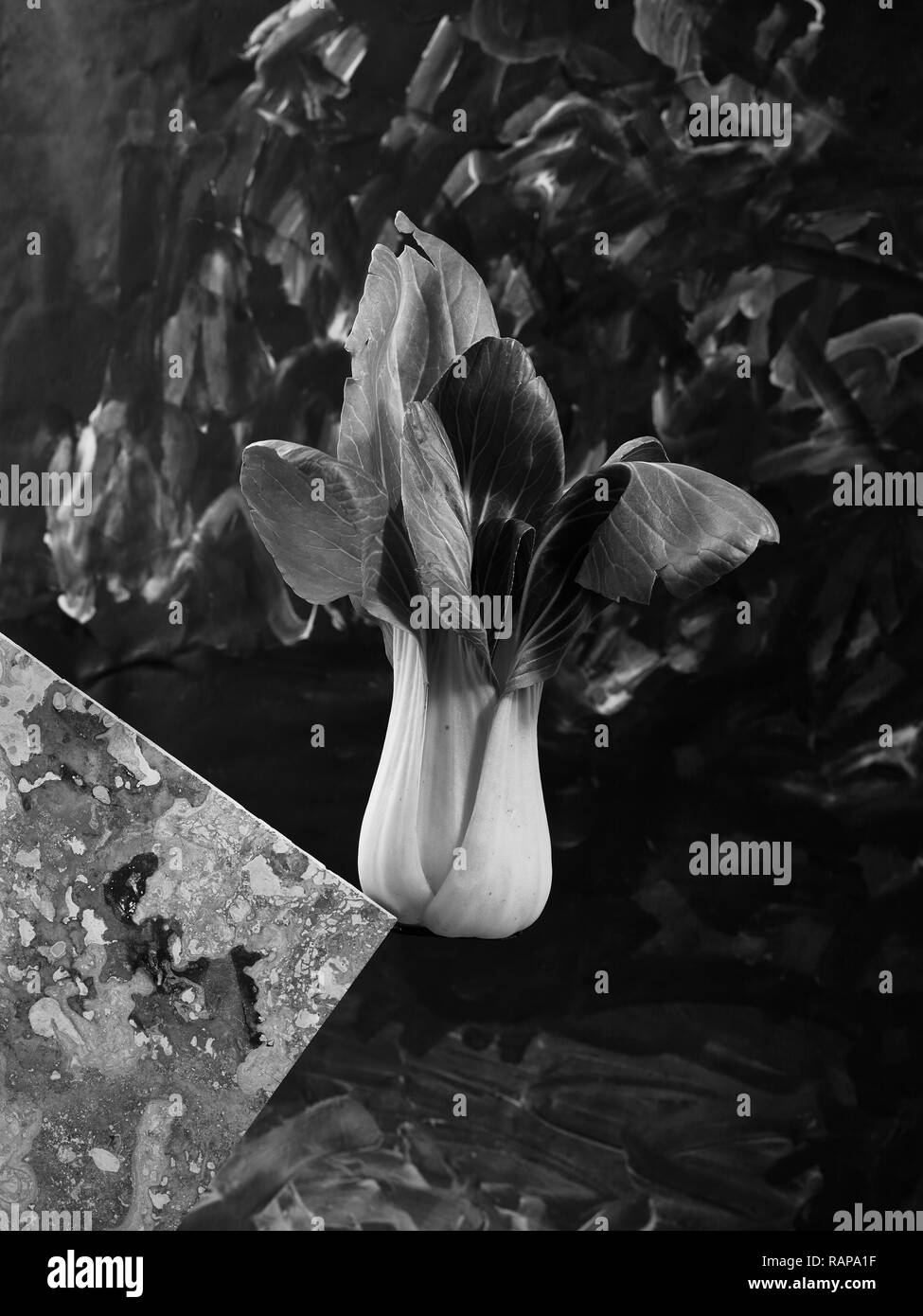 Dark green vegetable Black and White Stock Photos & Images - Alamy