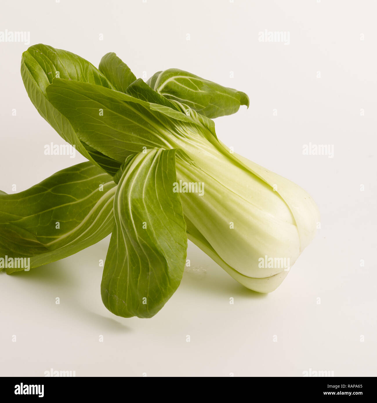 Leafy Pok Choy vegetable still-life photograph Stock Photo - Alamy