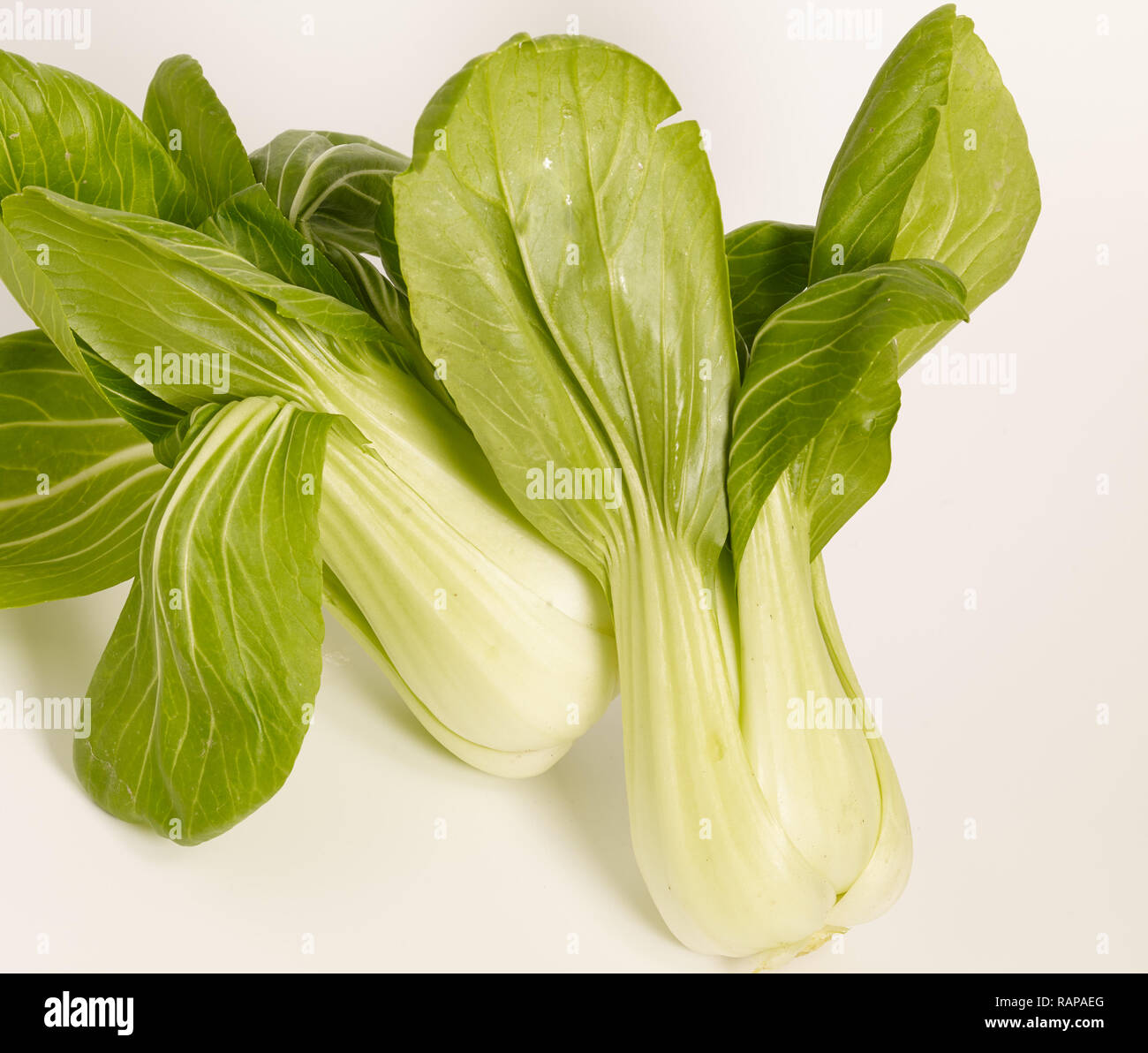 Leafy Pok Choy vegetable still-life photograph Stock Photo - Alamy