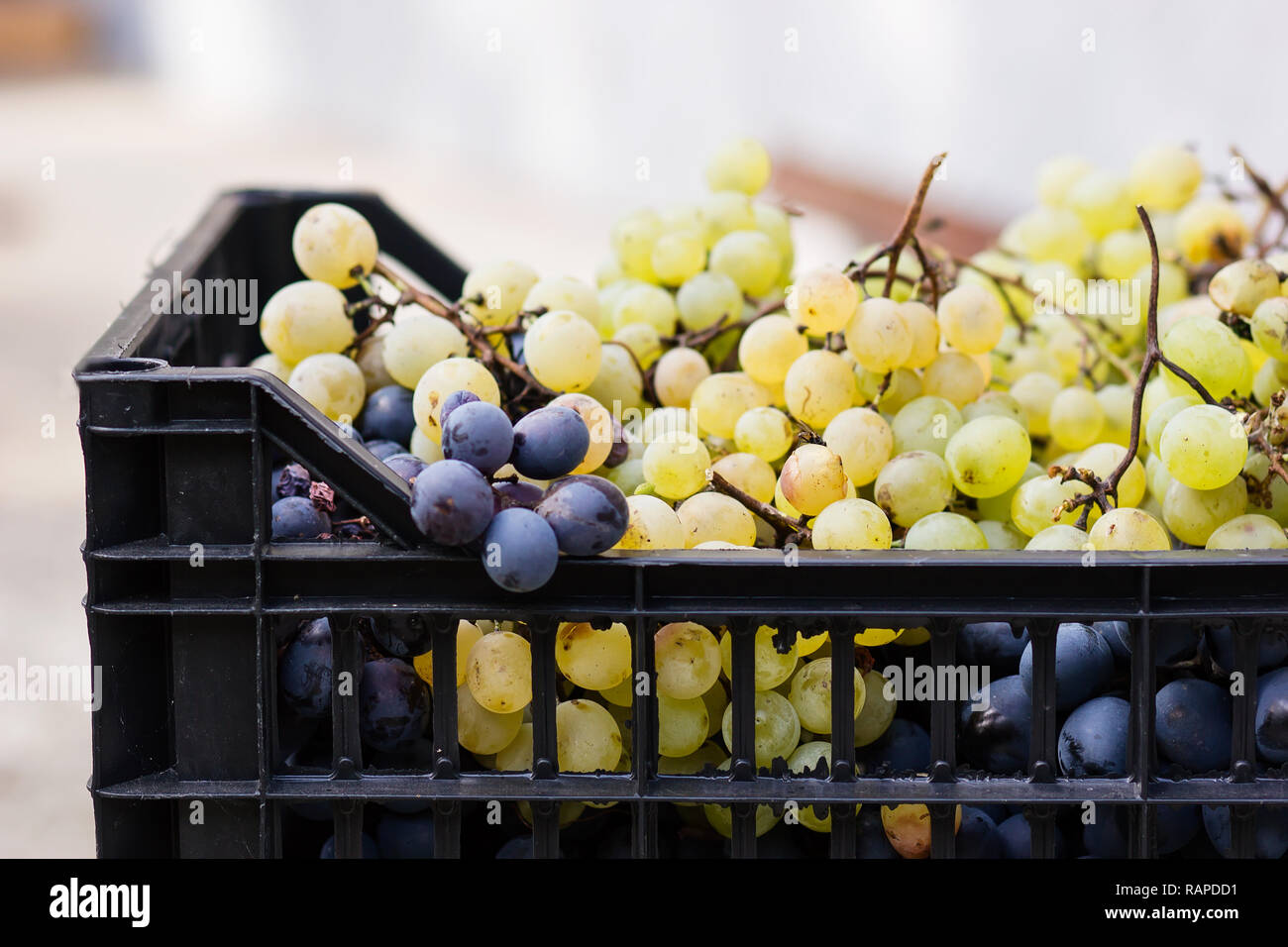 Black ang white hi-res stock photography and images - Alamy