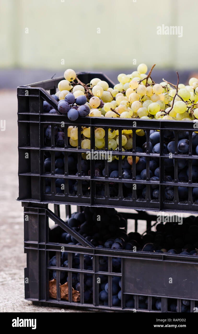 Black ang white hi-res stock photography and images - Alamy