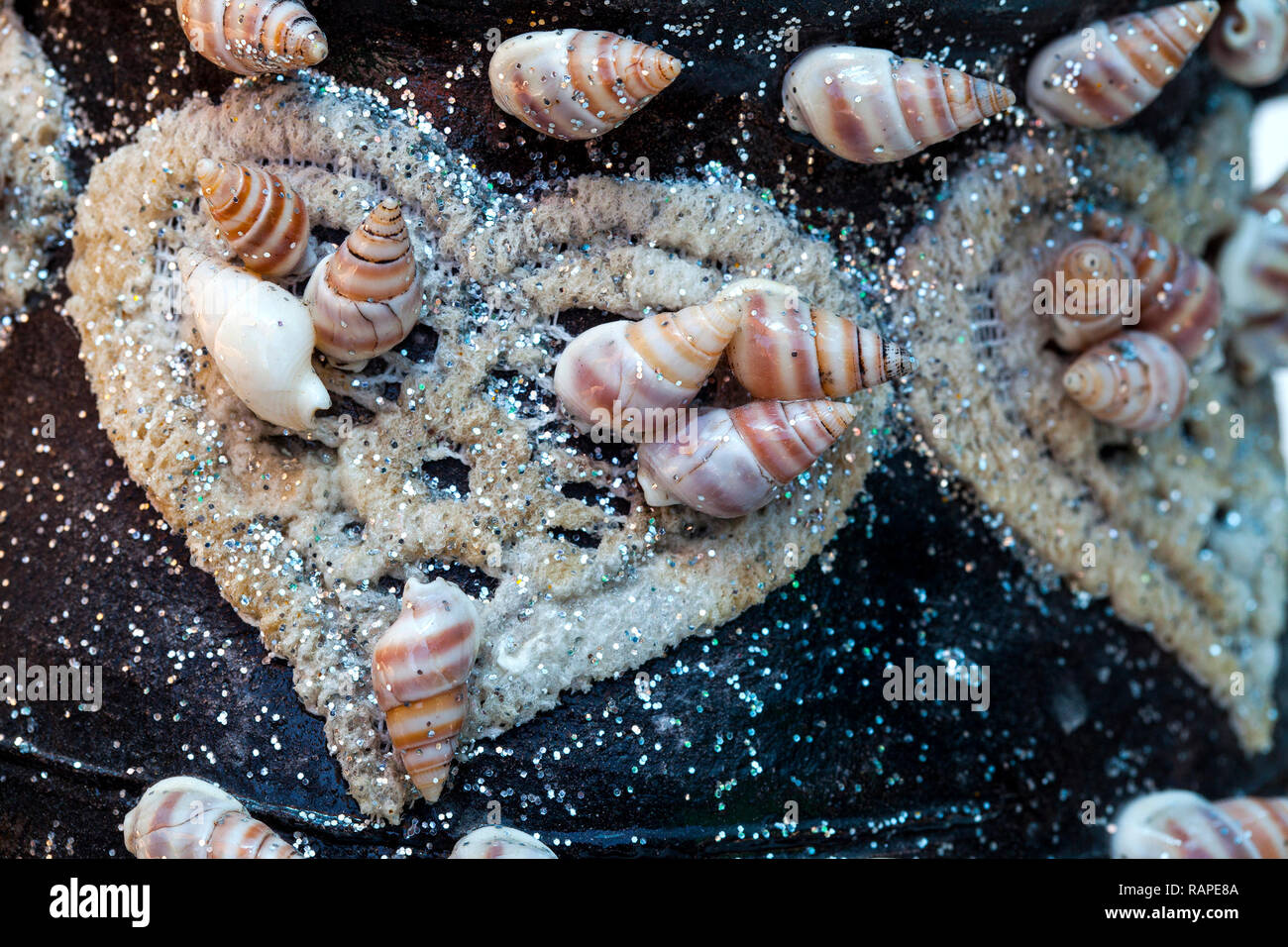 Sea Animal Dried Dead Fish and Seashell Background Stock Photo - Alamy