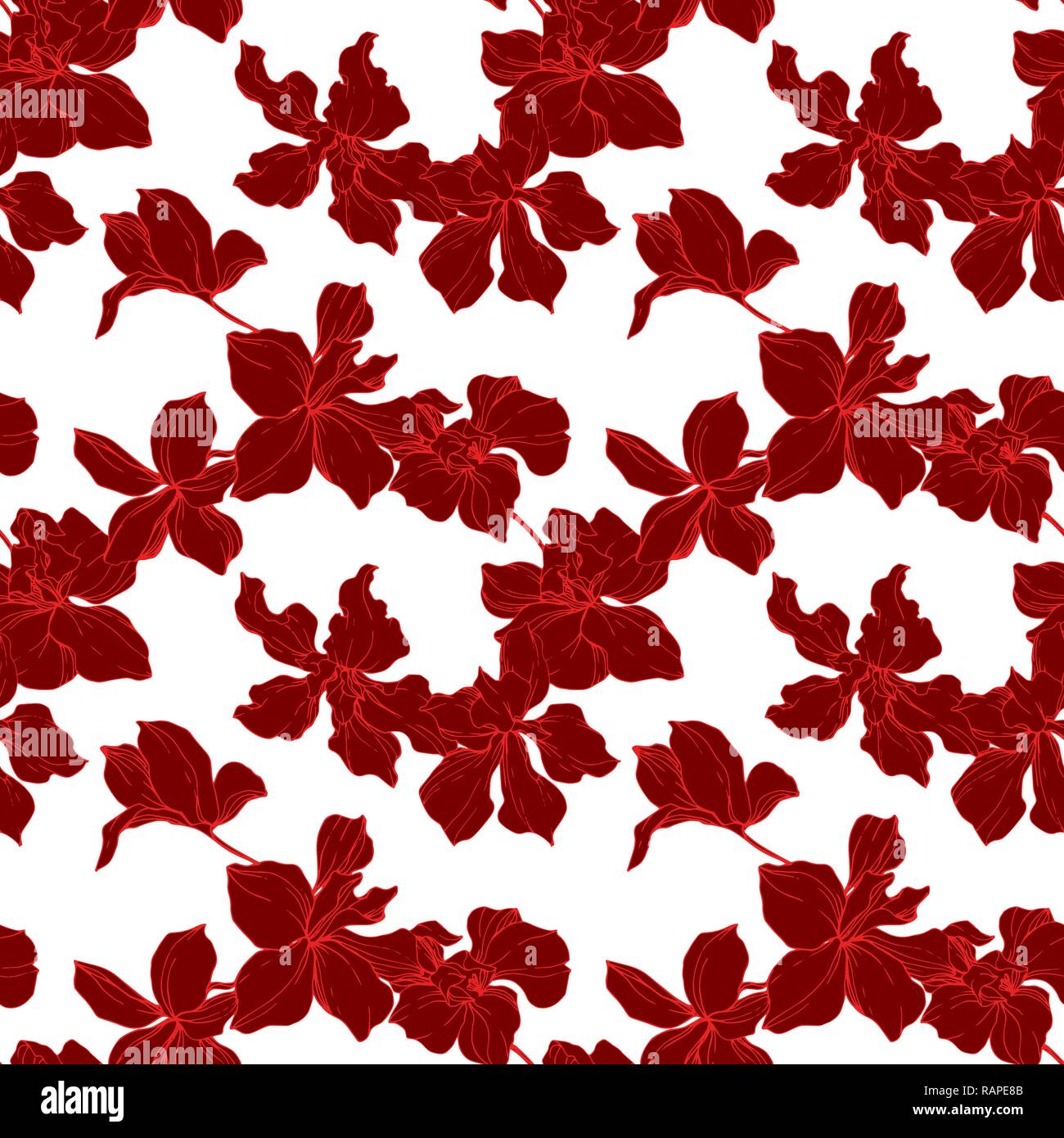 Vector. Orchid botanical flower. Red engraved ink art. Seamless ...