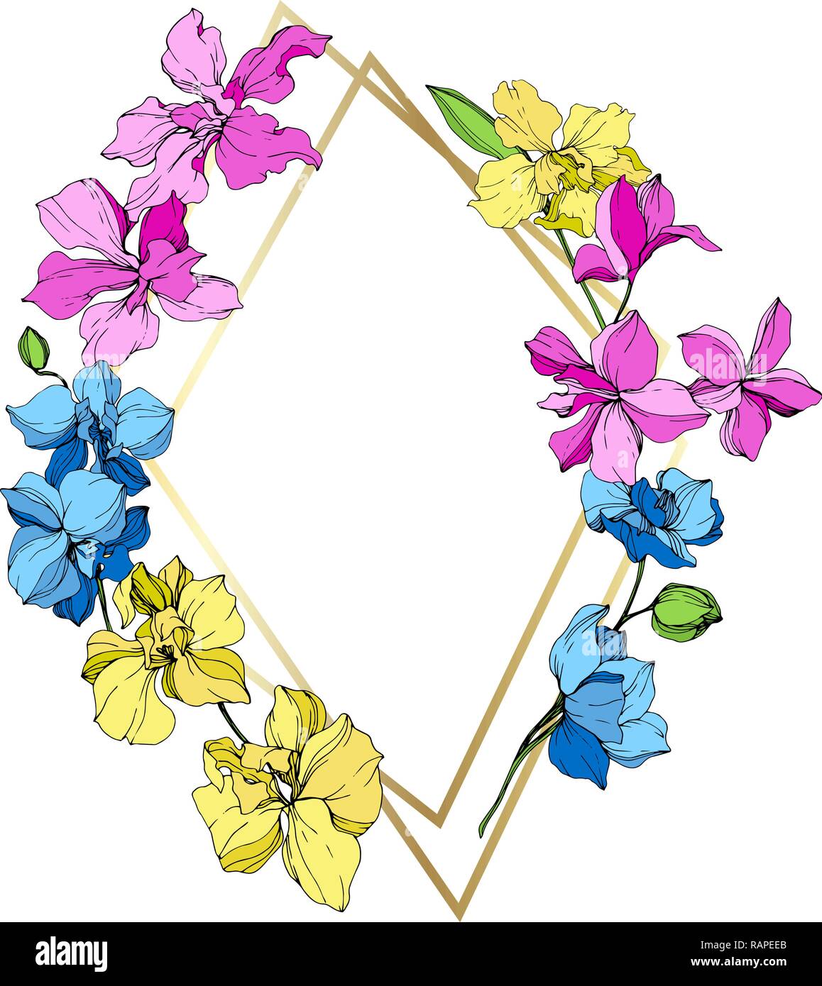 Blue And Yellow Orchid Flower