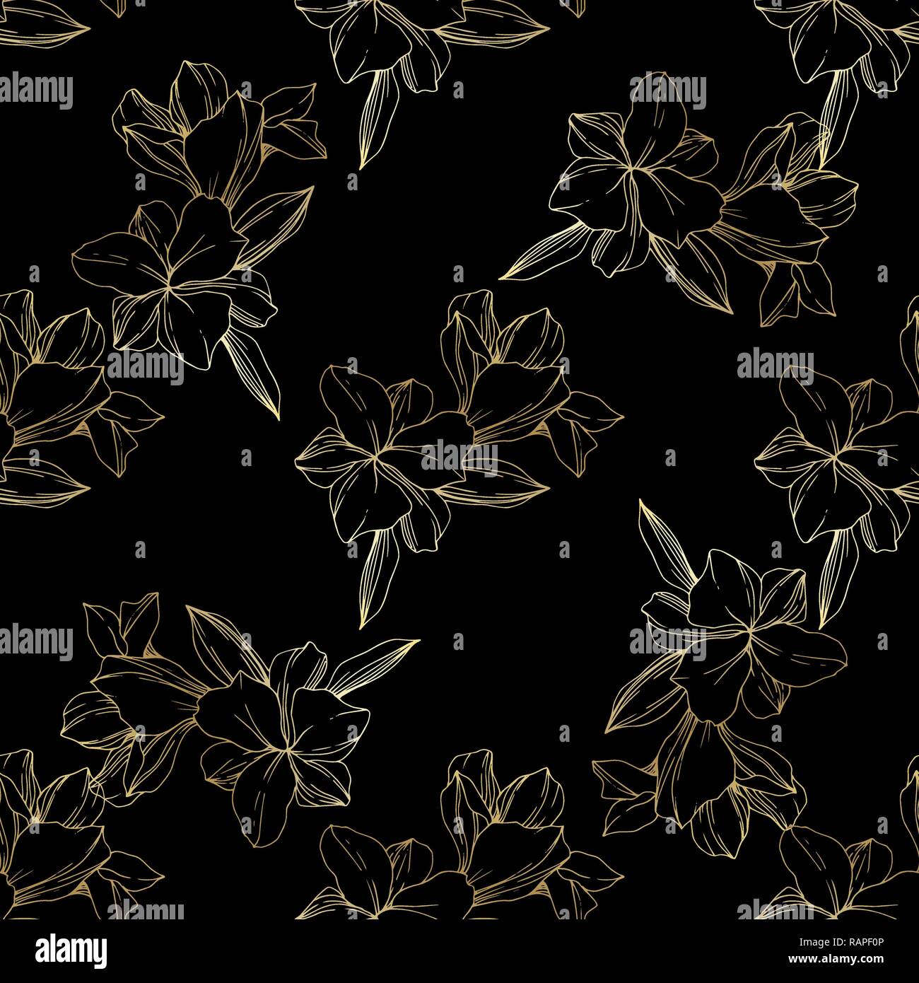 Vector Golden Orchid. Floral botanical flower. Engraved ink art ...