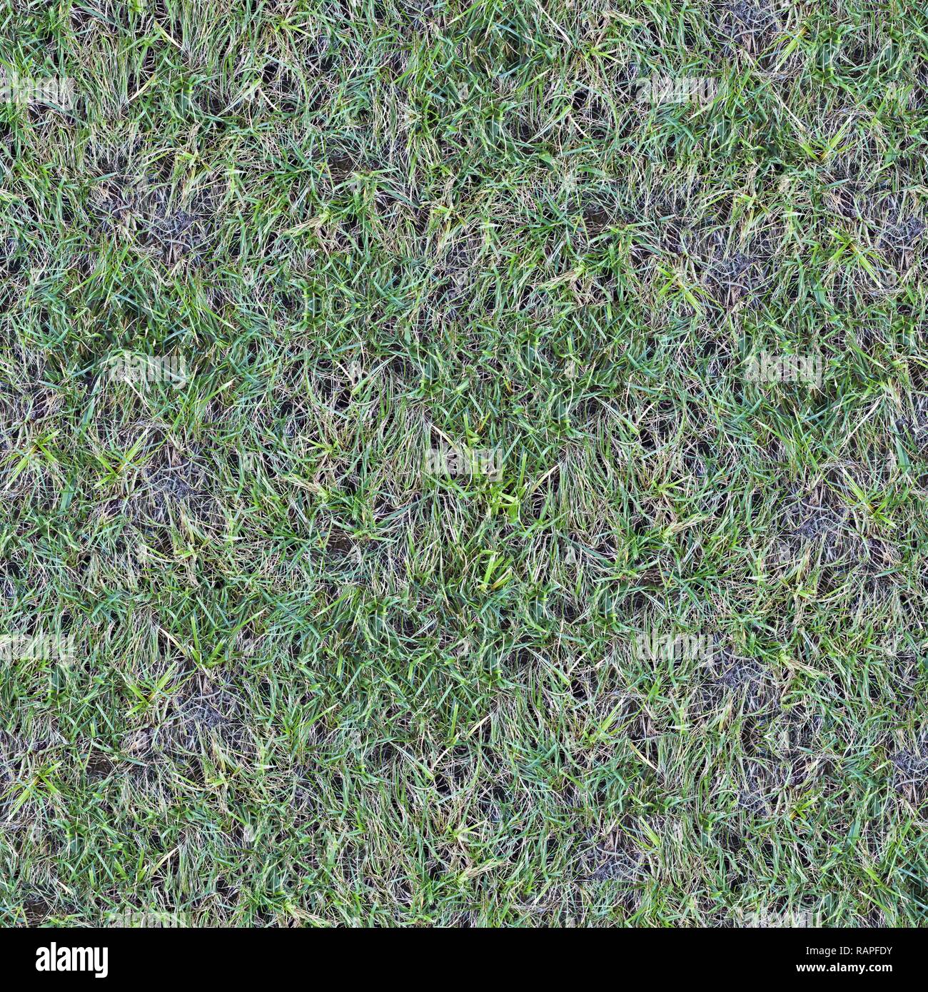 Seamless Green Grass Ground Pattern Background Texture Stock Photo - Alamy