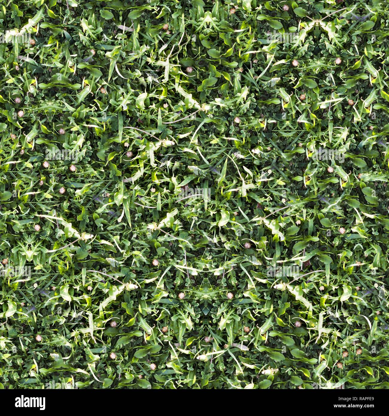 Seamless Green Grass Ground Pattern Background Texture Stock Photo - Alamy