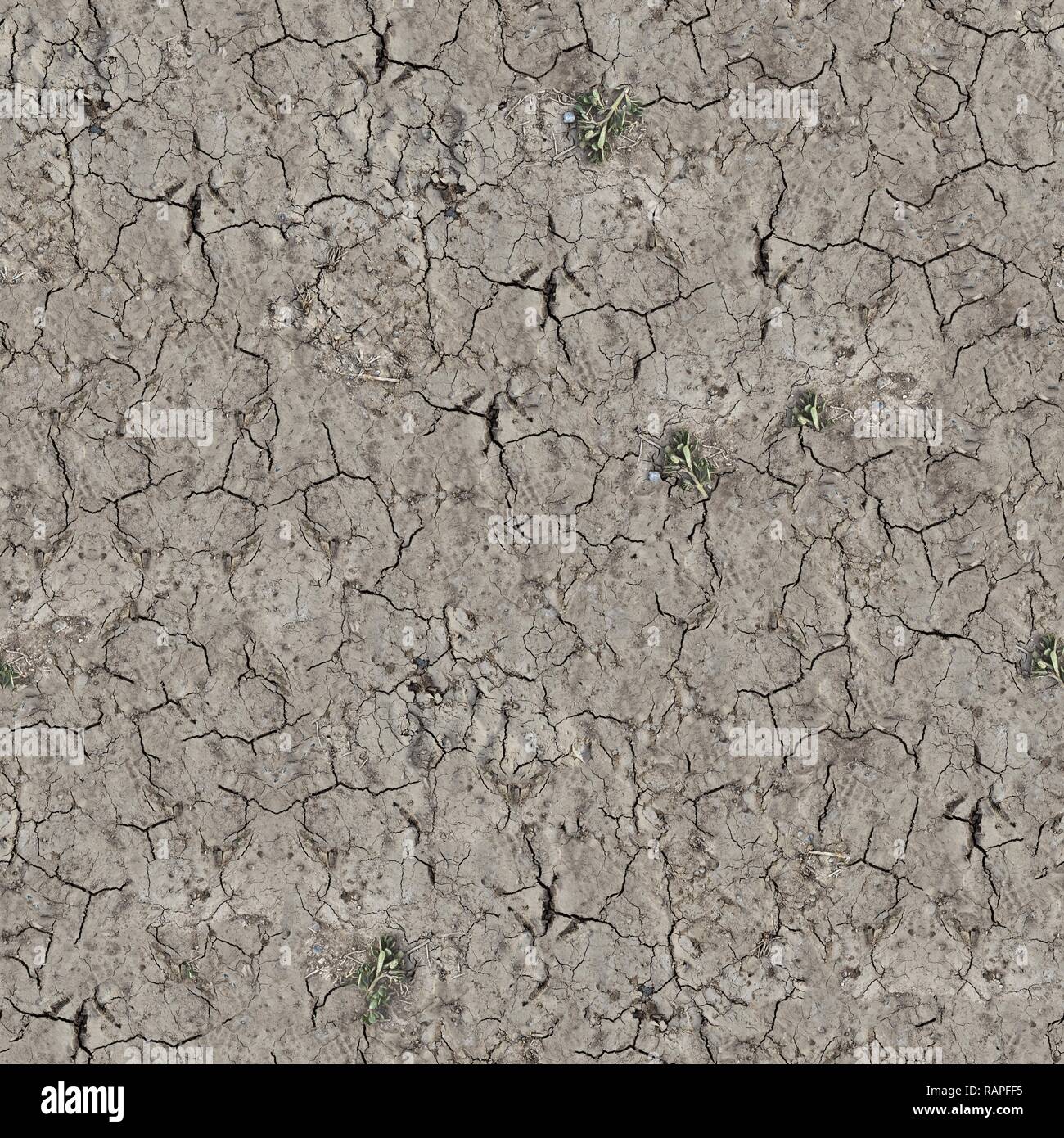 Seamless Green Grass Ground Pattern Background Texture Stock Photo - Alamy