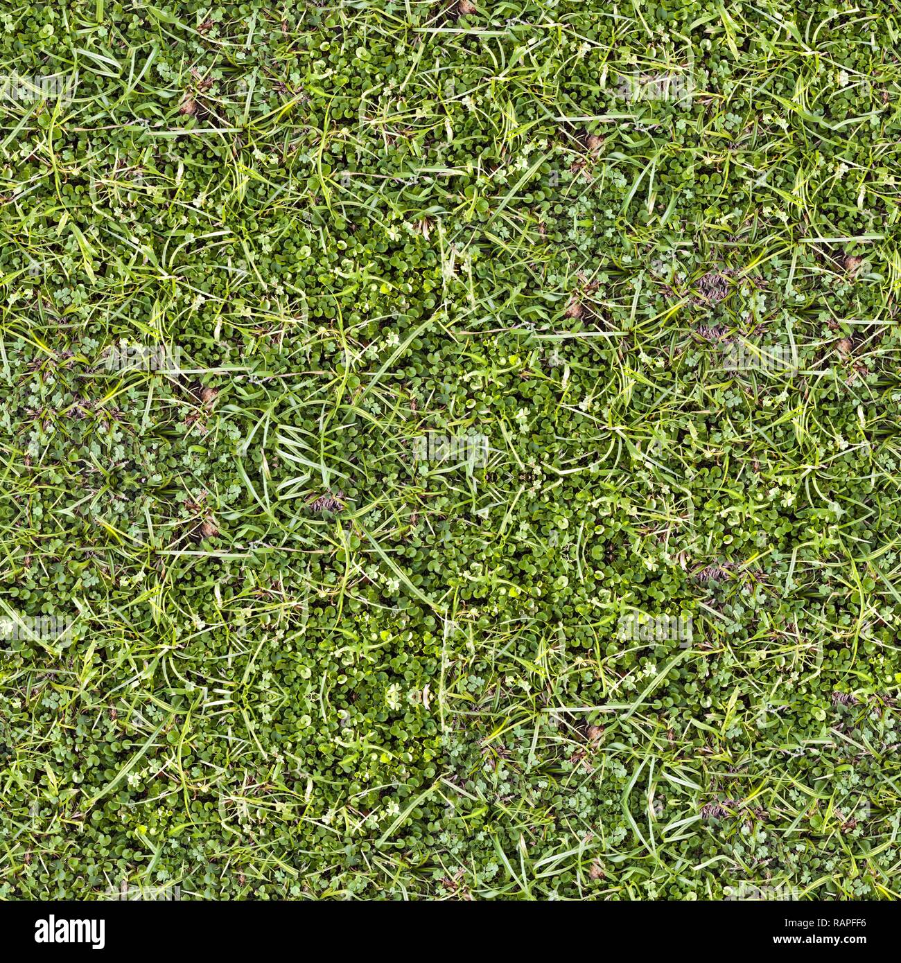 Seamless Green Grass Ground Pattern Background Texture Stock Photo - Alamy