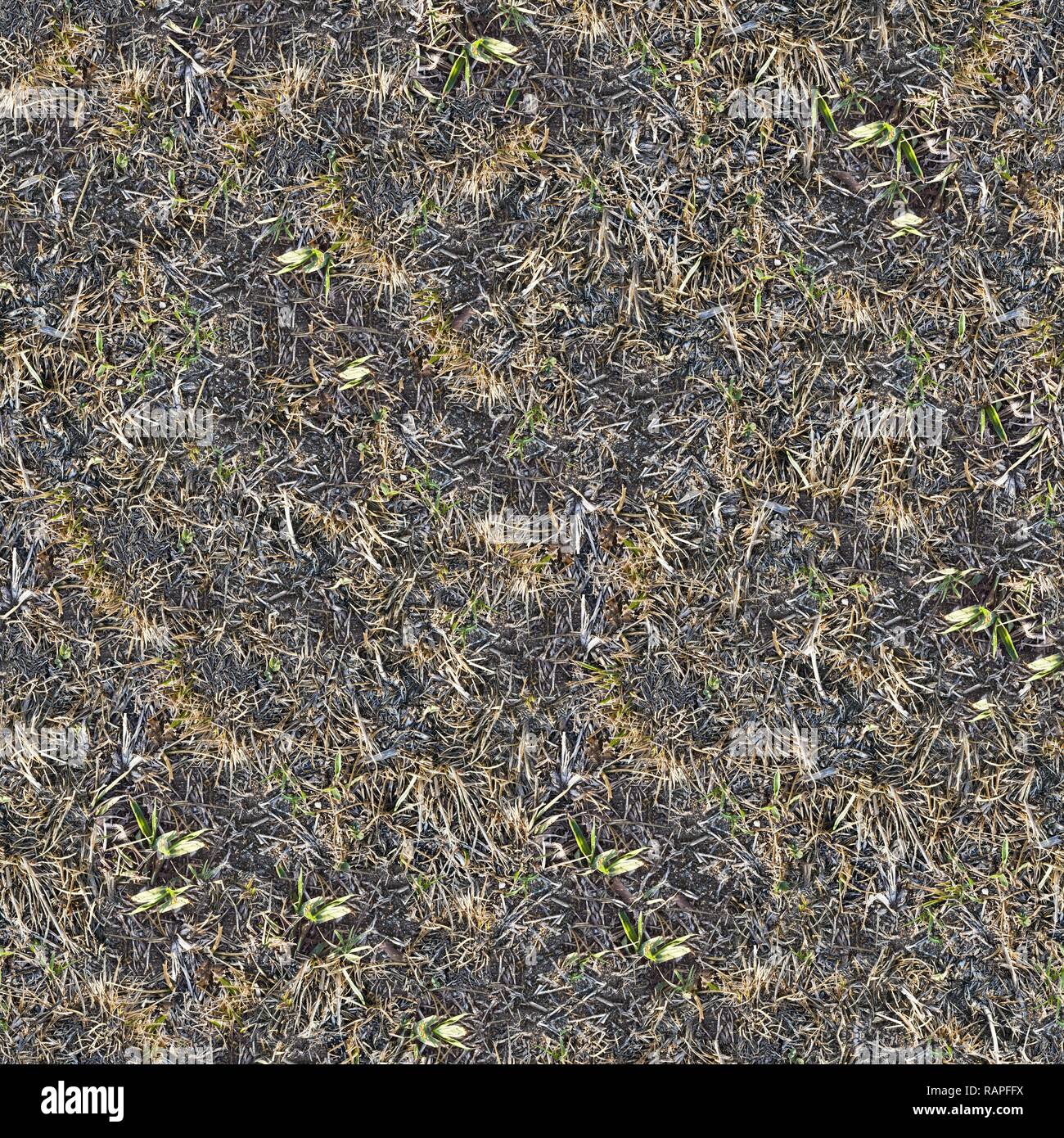 Seamless Green Grass Ground Pattern Background Texture Stock Photo - Alamy
