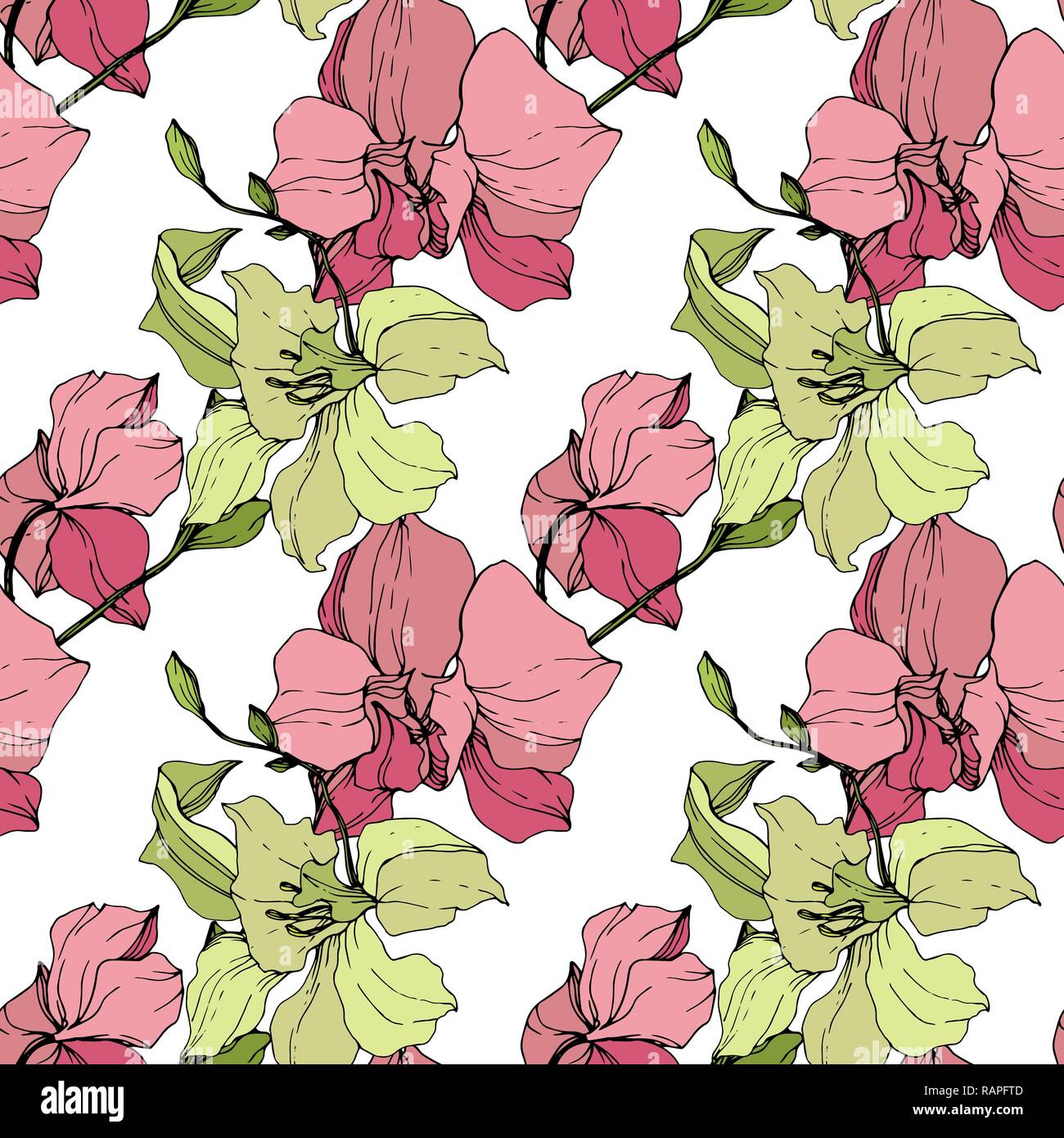 Vector Pink and yellow Orchid. Floral botanical flower. Seamless ...