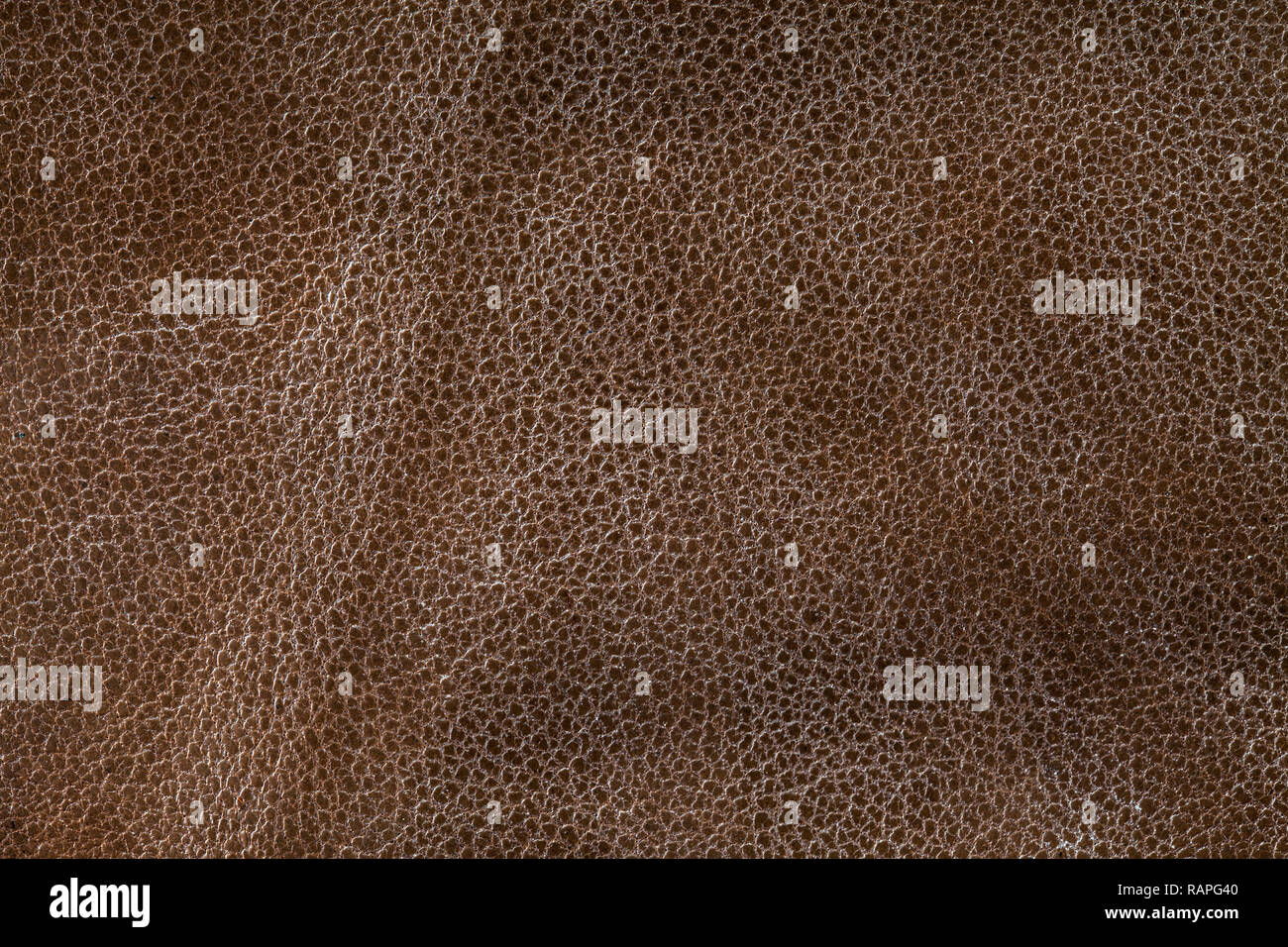 Seamless Real Leather Pattern Decorative Textile Background Photo Stock ...