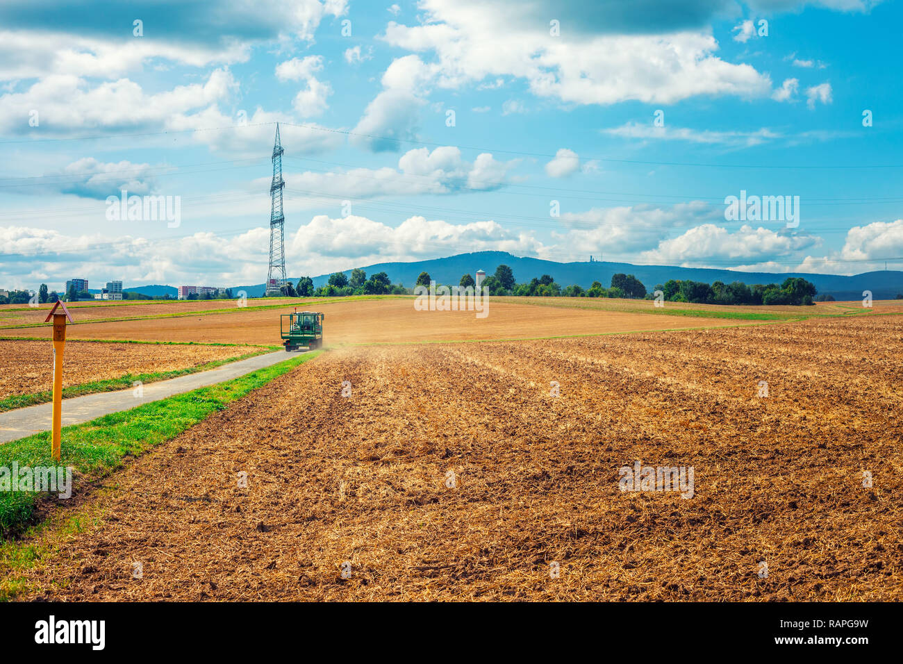 Agriculture Plant Spike Field in Nature Photo Stock Photo - Alamy