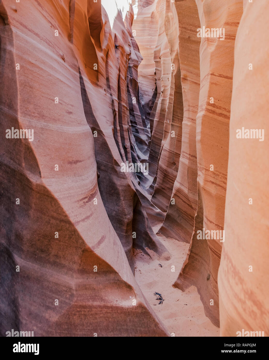 Zebra Slot Canyon in Grand Staircase-Escalante National Monument in ...