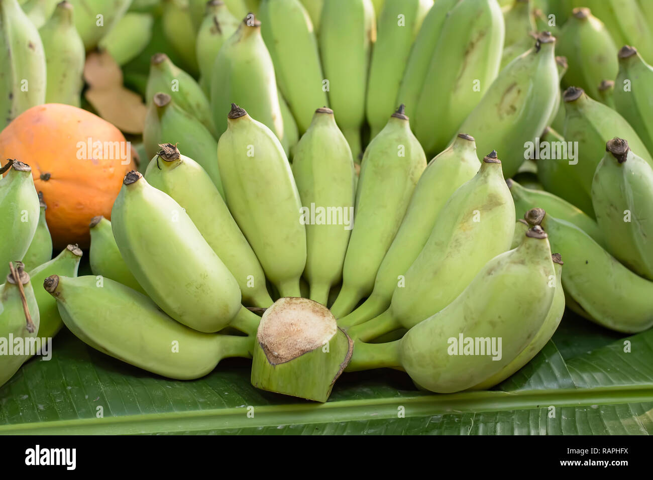 The banana shell casing for Sale Stock Photo - Alamy