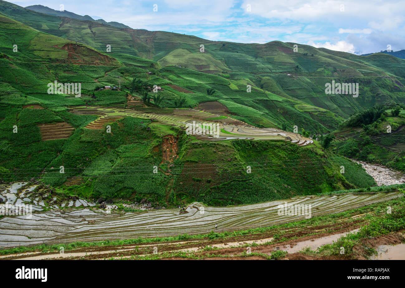 Royalty high-quality free stock image of beautiful terraced rice fields ...