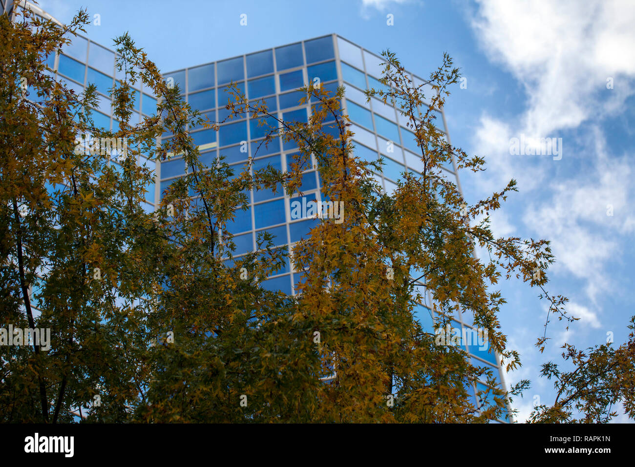 Huge Business Glass Architecture Tower Building Photo Stock Photo - Alamy