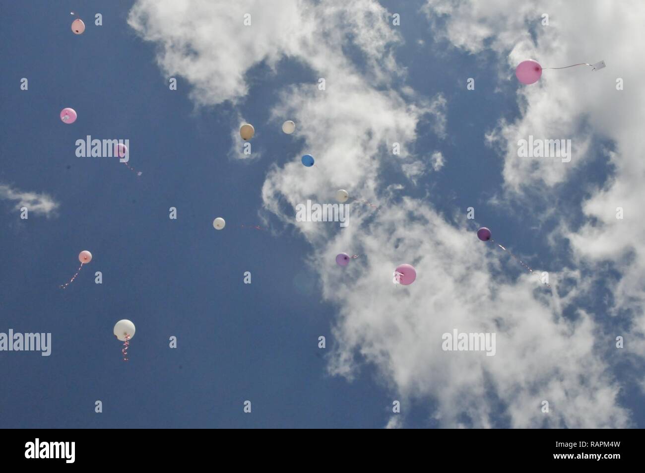 Dozens of balloons were released at Veteran's Memorial Park in Tampa as ...