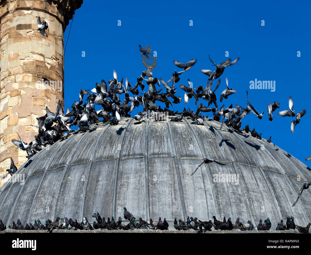 Islam Religion Mosque Architecture in Turkey Orient Middle Eastern ...