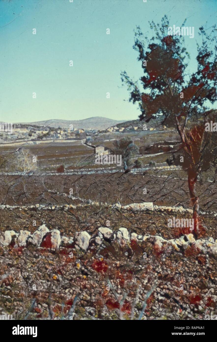 Valley of eshcol hi-res stock photography and images - Alamy
