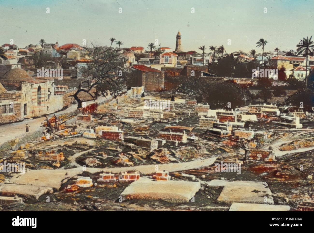 Southern Palestine, Hebron, Beersheba and Gaza area. Gaza. Judges 161 ...