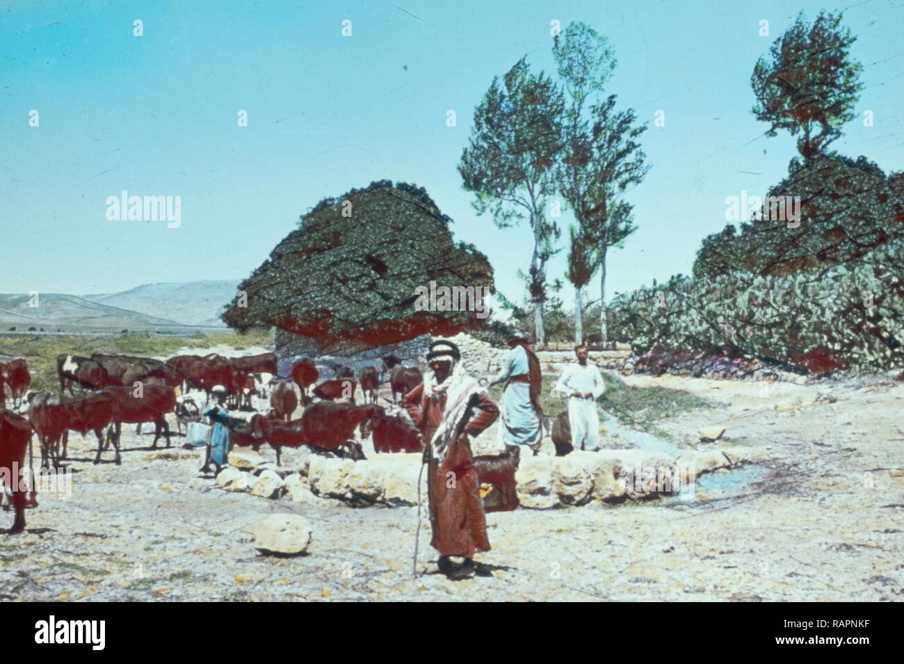 Northward from Jerusalem Dothan. Joseph's well. Gen. 3725. 1950, West ...