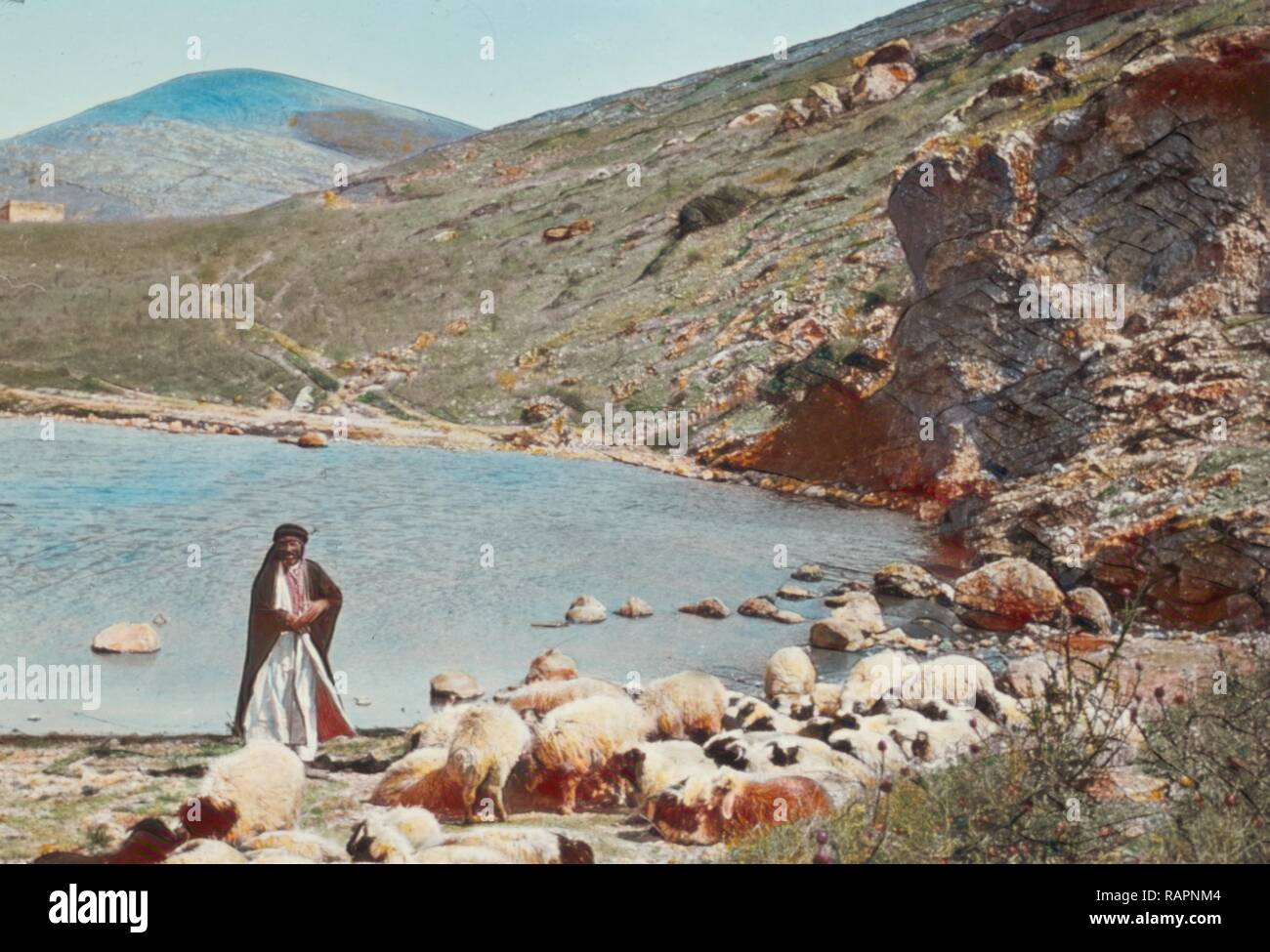 Northward from Jerusalem. Gideon's Spring at the foot of Mt. Gilboa ...