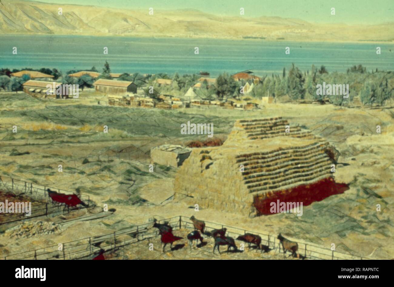 Around the Sea of Galilee. Ain Geb, near ancient Gadara. 1950, Israel ...