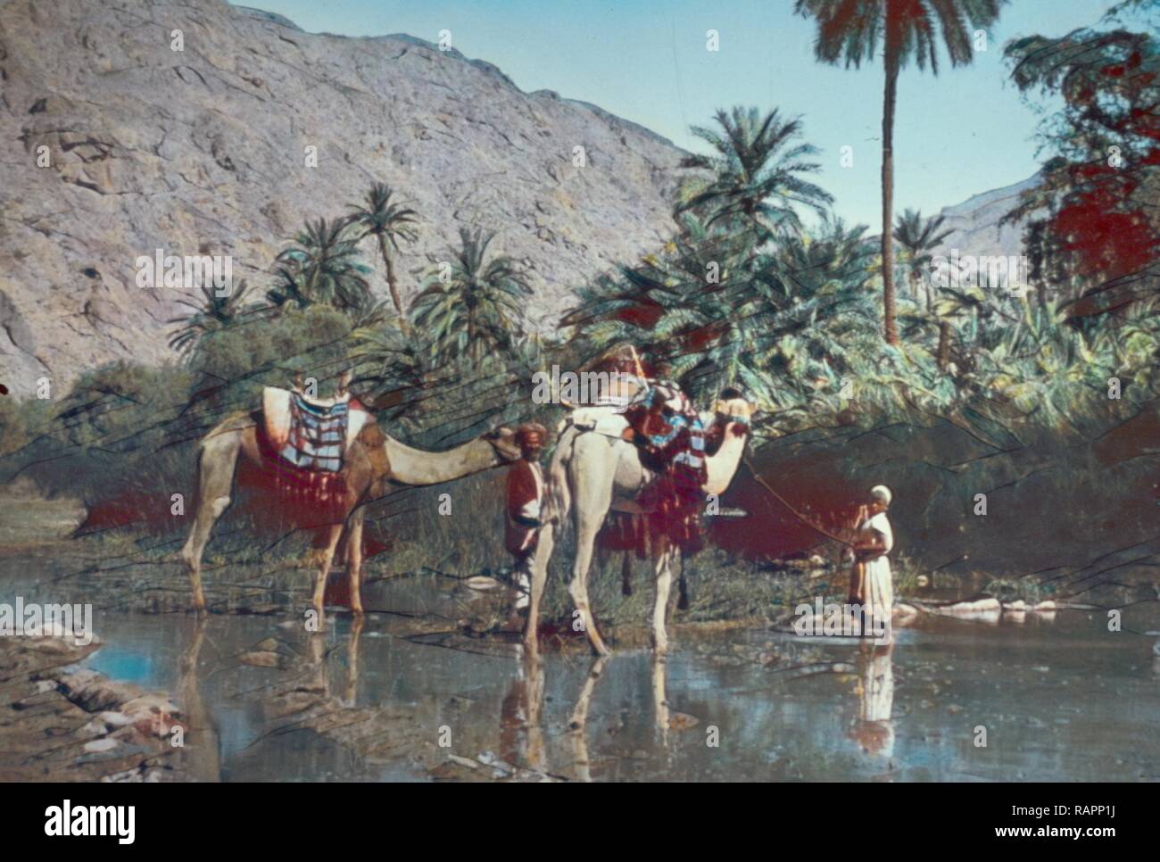 Oasis of Wady Feiran, Elim. Exodus 161. 1950, Egypt, Sinai. Reimagined ...