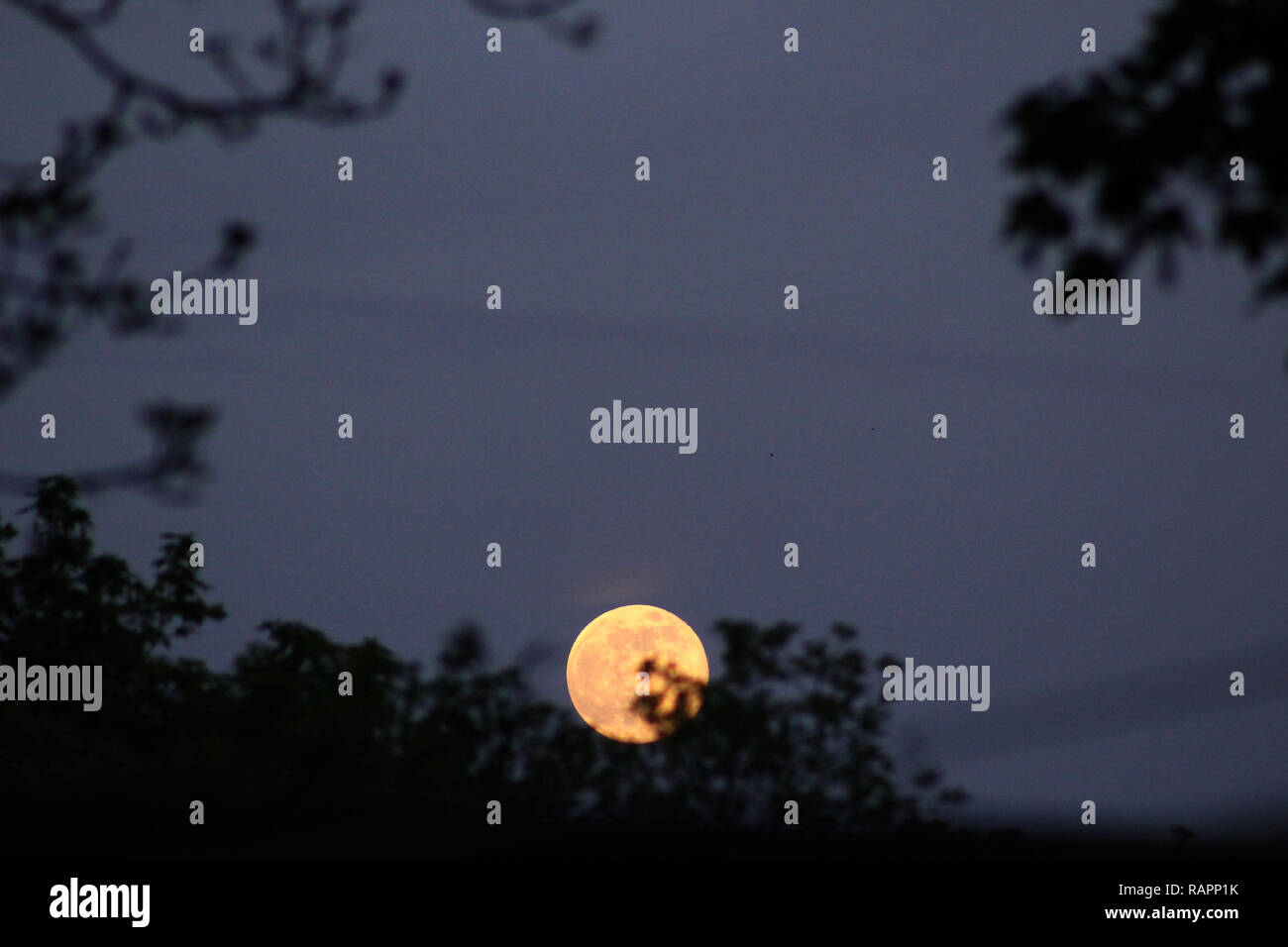 Yellow moon hi-res stock photography and images - Alamy