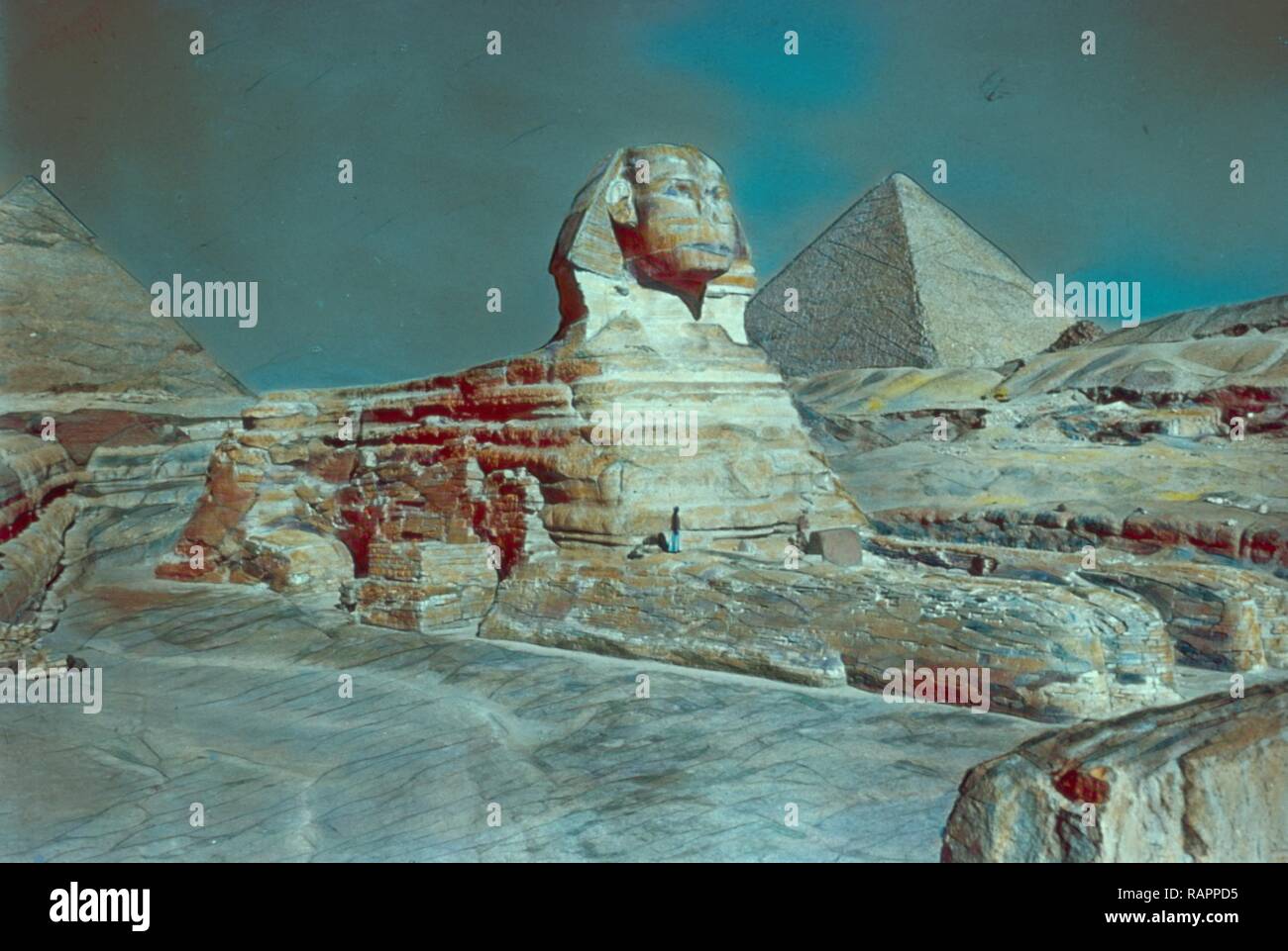 Pyramids. The Sphinx and pyramid, from low viewpoint looking up. 1950 ...