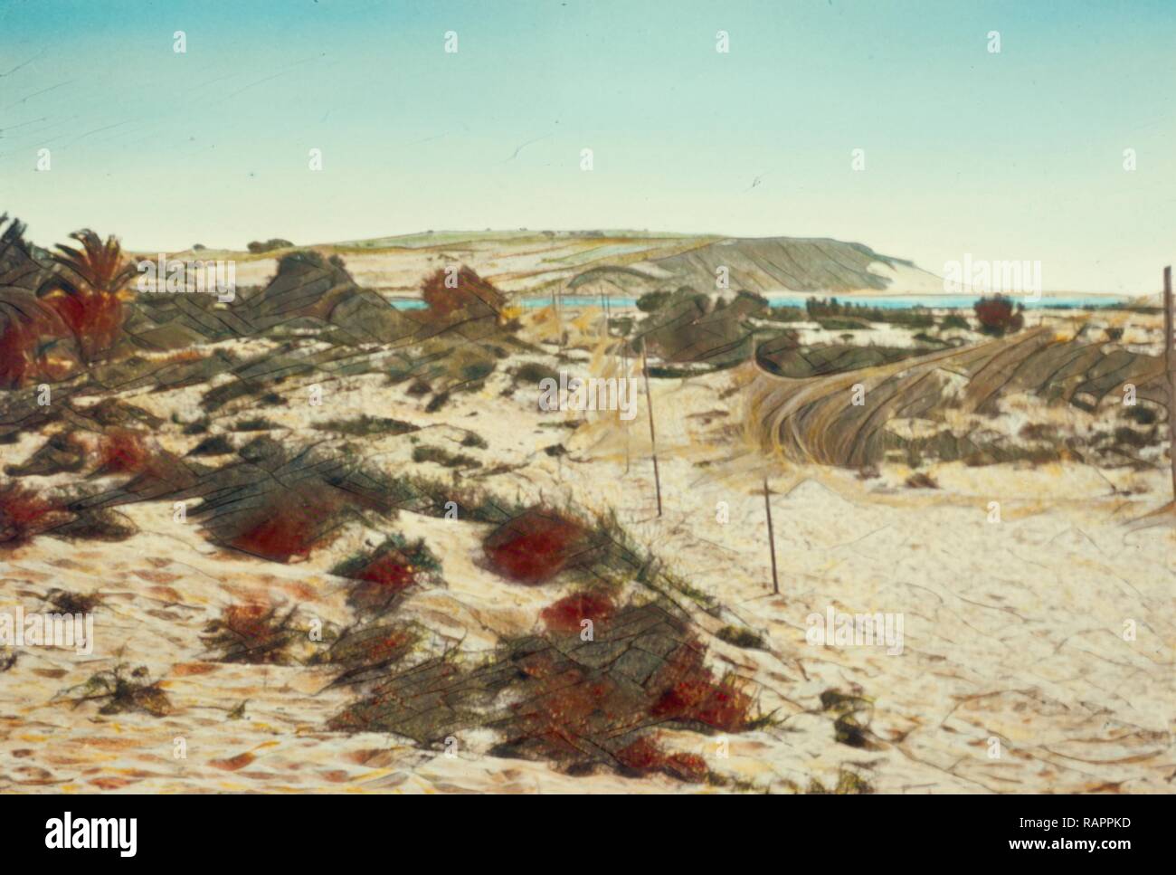 Trammel nets for snaring migratory quails. 1950, Middle East ...