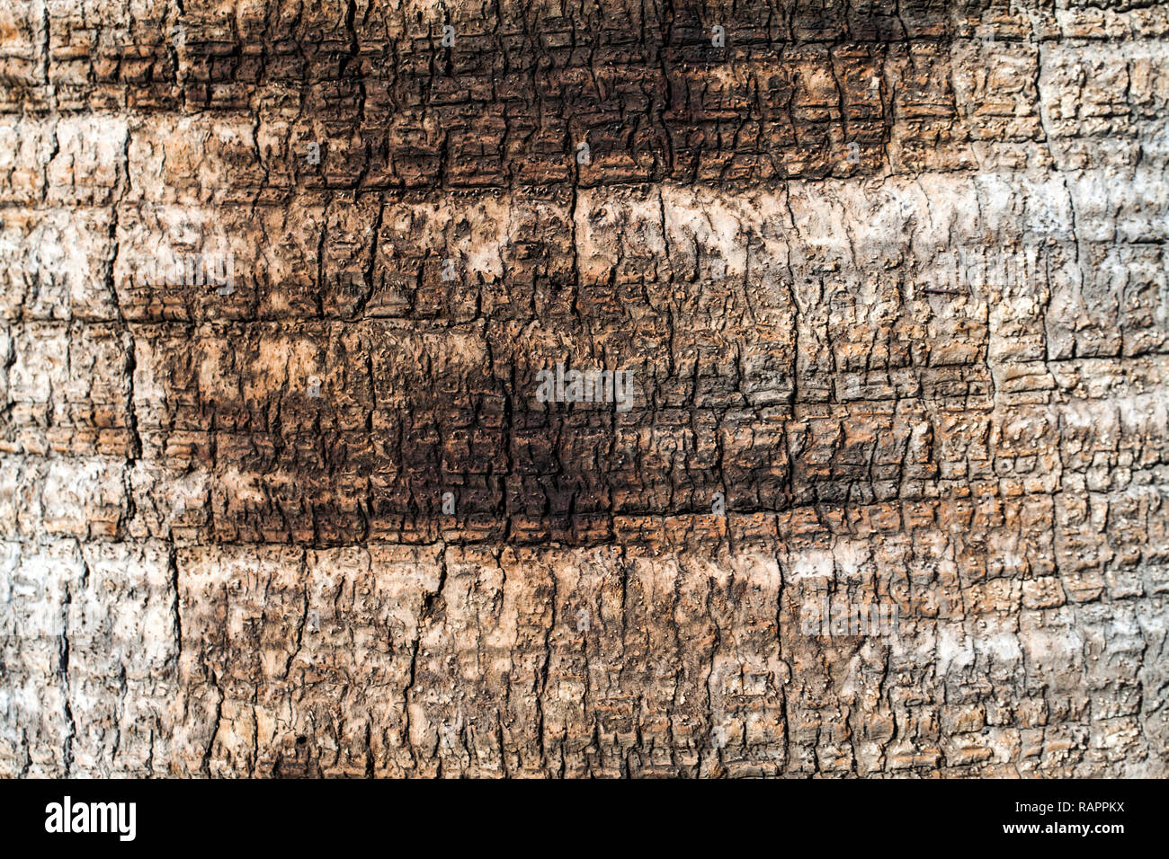Natural Tree Wood Bark Trunk Background Material Stock Photo - Alamy