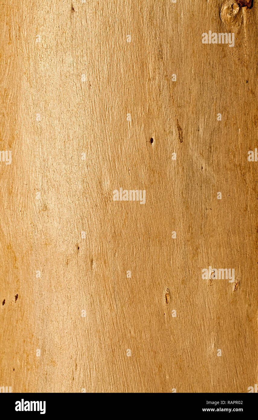 Natural Tree Wood Bark Trunk Background Material Stock Photo - Alamy