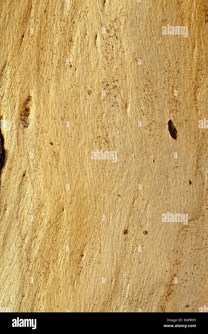 Natural Tree Wood Bark Trunk Background Material Stock Photo - Alamy