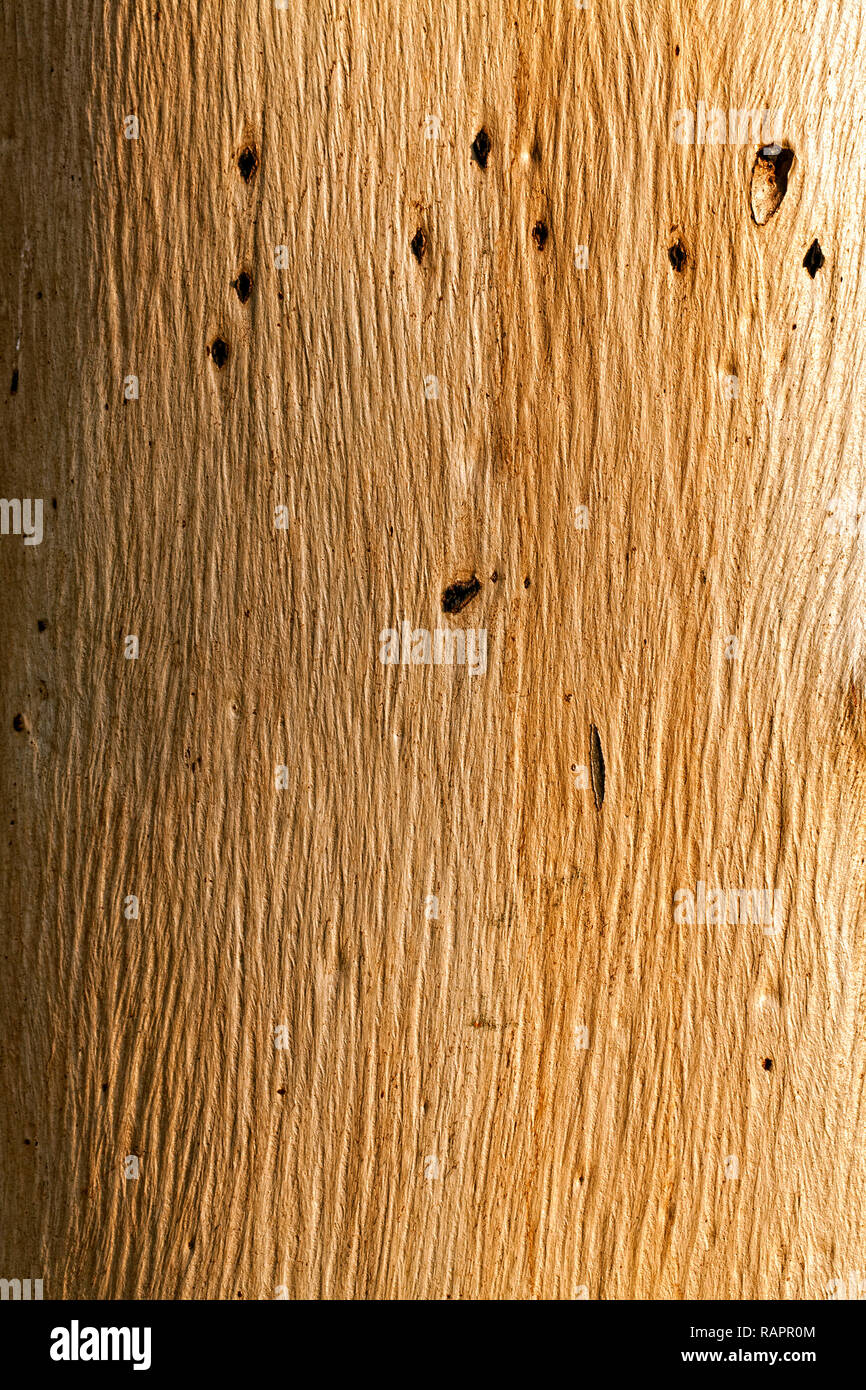 Natural Tree Wood Bark Trunk Background Material Stock Photo - Alamy